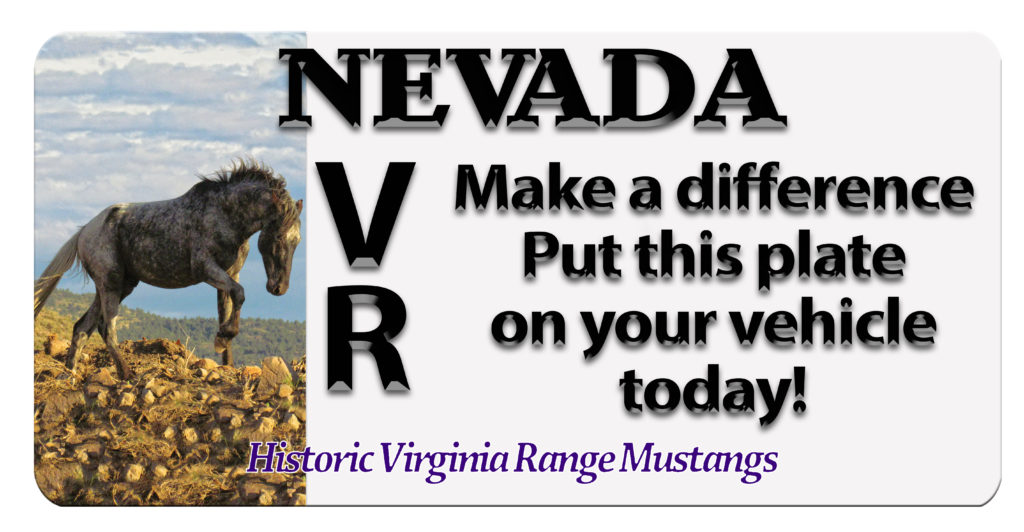 VR Mustangs Special Plate | VRMustangs